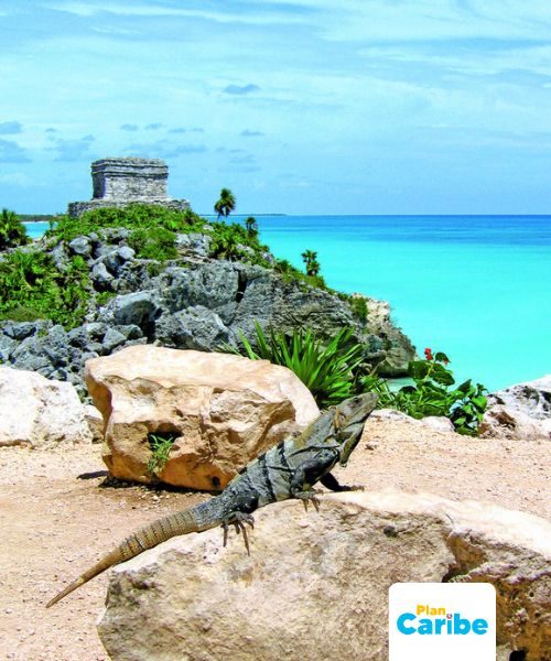 Tours en Cancun | Plan Caribe Tours